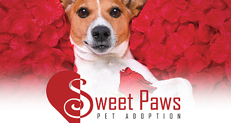 Moreno Valley Animal Services